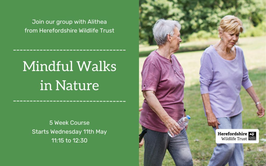 Mindful Walks in Nature | Ross Community Development Trust